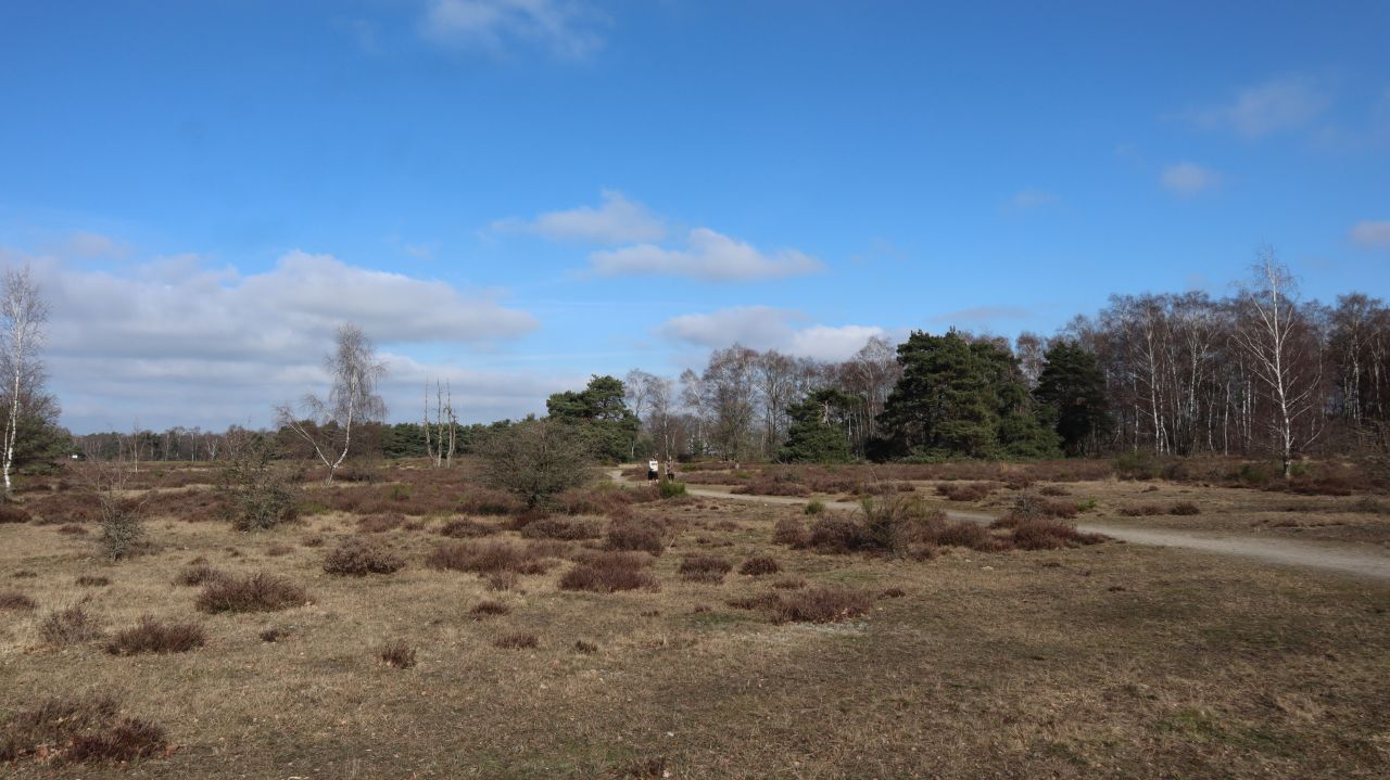 NSG Große Heide Venlo – Groote Heide » Niederrheinscout